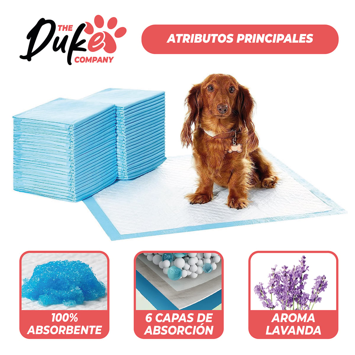 SABANILLAS DE ENTRENAMIENTO PERROS DUKE 6 CAPAS AROMÁTICAS 100 UNIDADES ...