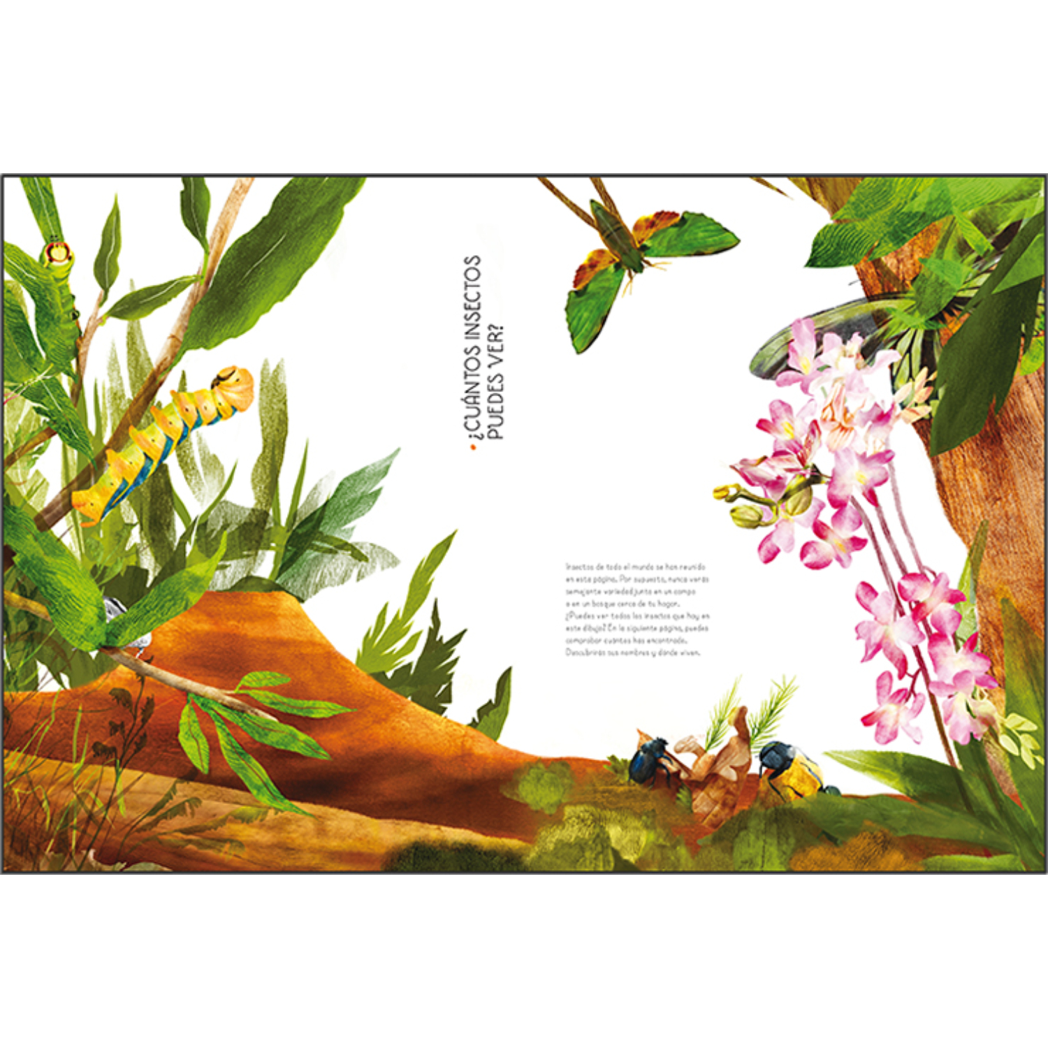 Ripley - LIBRO INSECTOS A TAMAÑO REAL - GROTT, ISABELLA