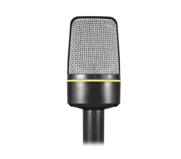 MICROFONO AUDIO PRO CONDENSADOR HOME STUDIO AUDIOPRO AP02032