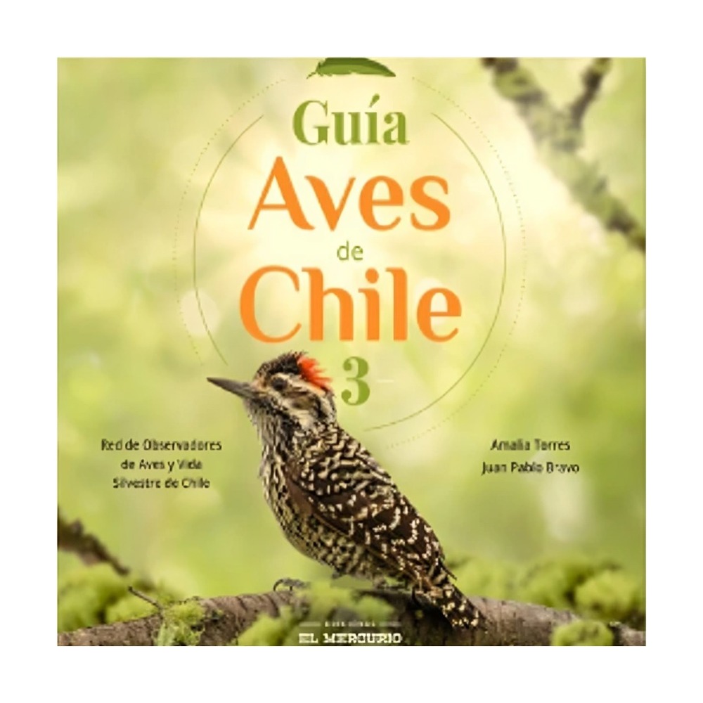 LIBRO GUIA AVES DE CHILE # 3 / EL MERCURIO / AMALIA TORRES - JUAN PABLO ...