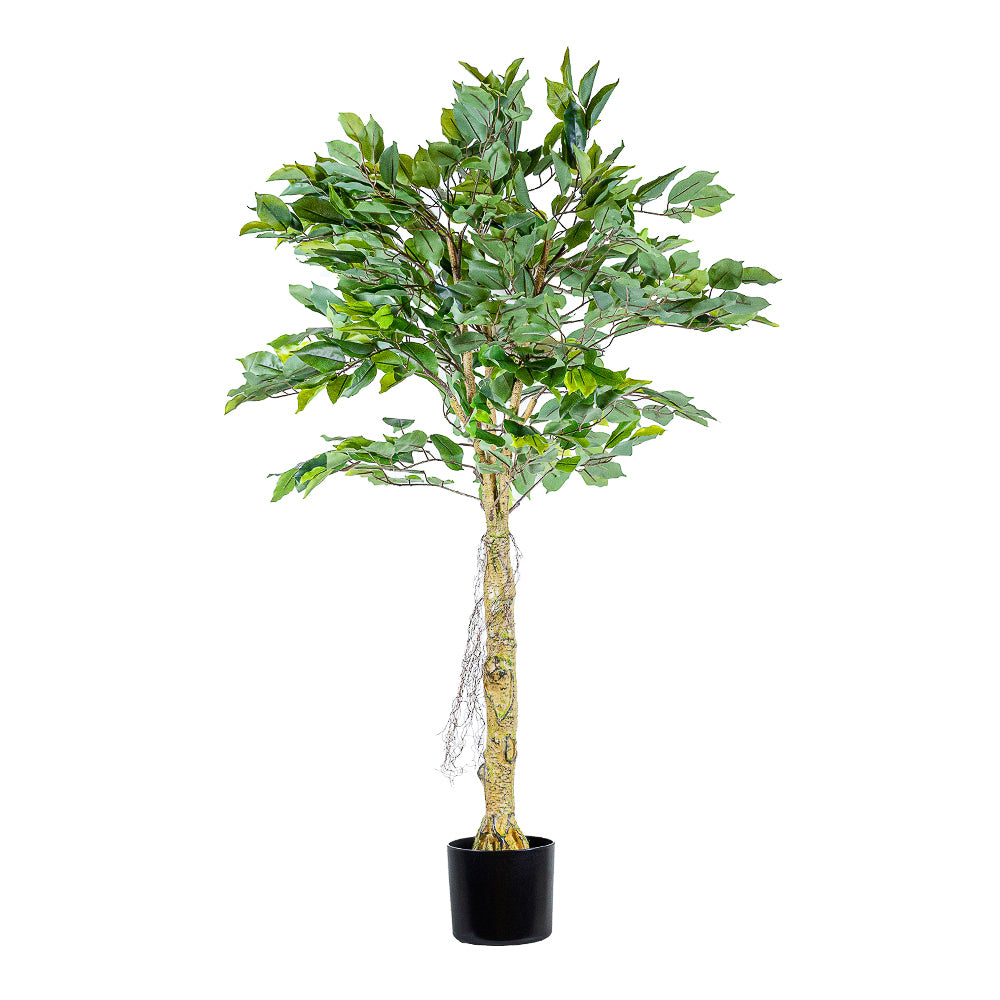 Ripley - FICUS 120 CM