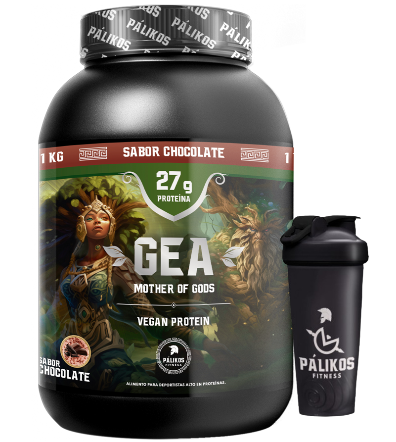 Ripley - PACK PALIKOS FITNESS PROTEÍNA VEGANA 1KG SABOR CHOCOLATE GEA ...