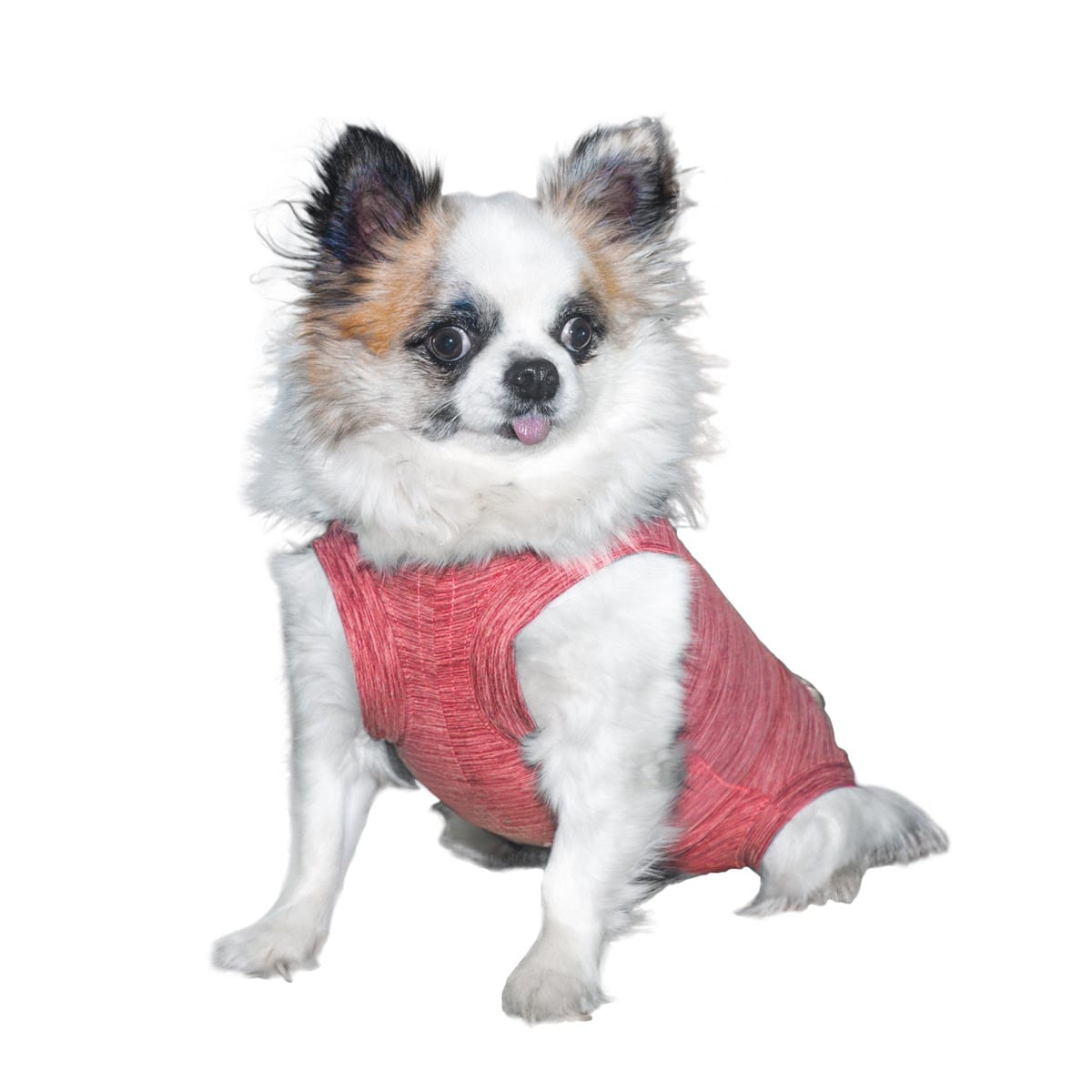 ROPA BODY PERROS COBRE CUNATEX ROJO TALLA 2 3.5 4.5 KG