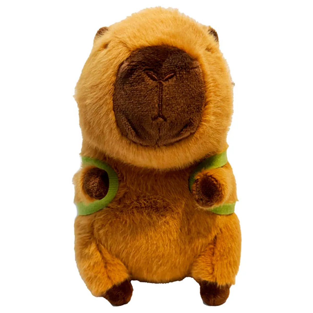 CAPIBARA TORTUGA
