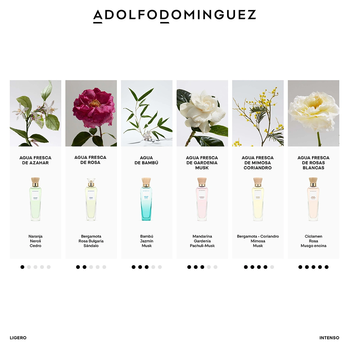 PERFUME ADOLFO DOMINGUEZ AGUAFRESCA BAMBÚ MUJER ADOLFO DOMÍNGUEZ EDT ...